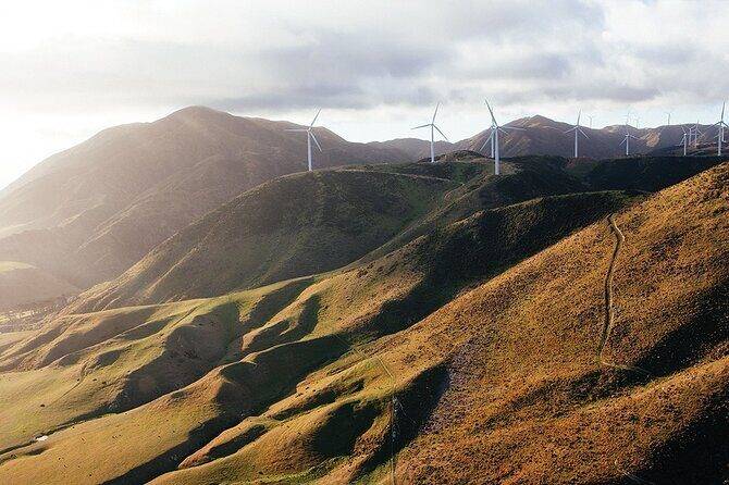 Wellington South Coast Discovery Helicopter Flight - Authentic Experiences Asserted by Travelers