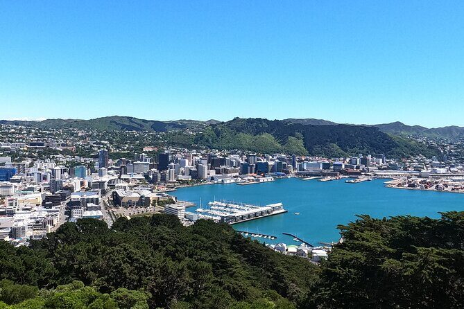 Wellington's Original LOTR Experience - includes Weta and Lunch - What Our Reviewers Say