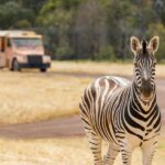 Werribee Open Range Zoo: Entry Ticket - The Safari Tour: Why It’s a Must-Do