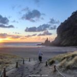 West Coast Discovery Piha Beach Private Tour - Wine Tasting at the Oldest Winery