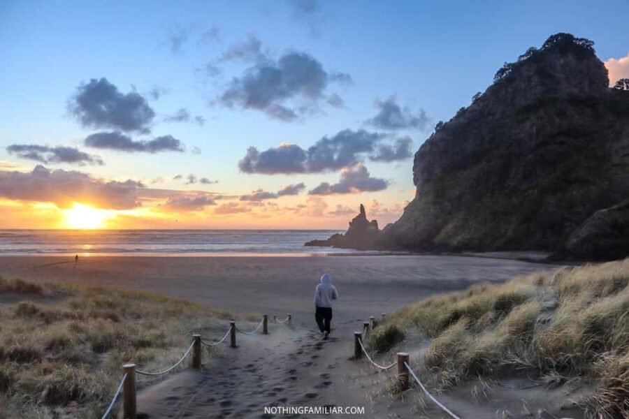 West Coast Discovery Piha Beach Private Tour - Wine Tasting at the Oldest Winery