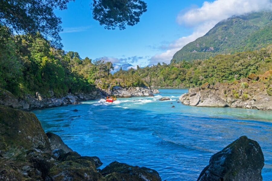 West Coast: Eco River Safari in UNESCO World Heritage Area - The Jet Boat Adventure Begins