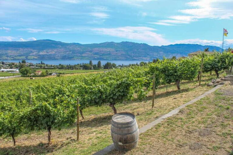 West Kelowna: Afternoon Sightseeing and Wine Tour - What Travelers Are Saying