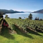 West Kelowna Wine Trail - Visit 5 wineries - The Itinerary in Detail