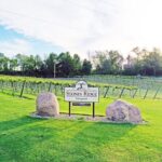 West Michigan Wine and Brewery Join in Day Tour - Transportation and Practical Details
