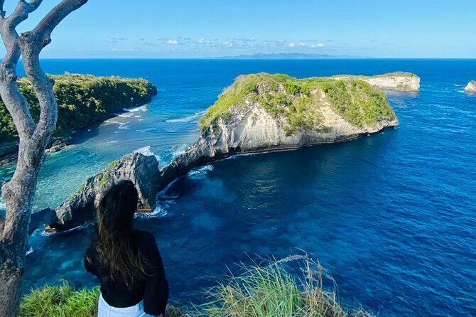 West Nusa Penida Island Tours From Lembongan - What the Tour Includes & Excludes