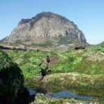 West of jeju private Jumbo taxi tour with Mr.KO (Suhong) - What Sets This Tour Apart