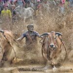 West Sumatra Cultural Tour With Accommodation 4 Days 3 Nights - Witnessing Unique Cultural Traditions