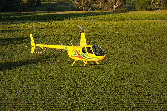 Western Ridge & Valley Floor: 20-Minute Helicopter Flight - The Itinerary: Breaking Down the Highlights