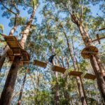 Western Sydney Tree Ropes Course - The Value of This Adventure