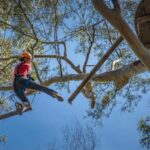 Western Sydney: Tree Ropes Courses - What Makes the Experience Stand Out?