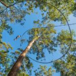 Western Sydney Zipcoaster Experience - Evaluating the Value