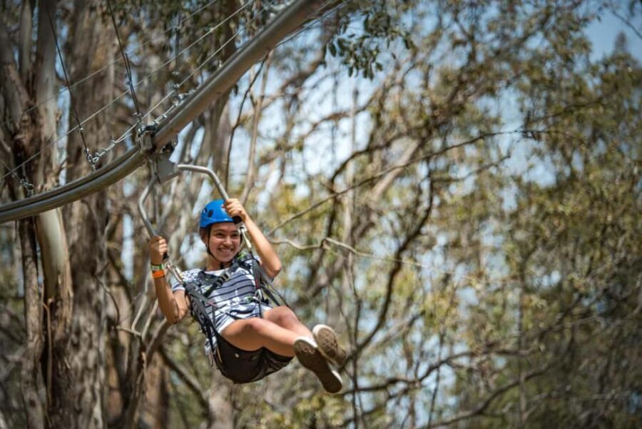 Western Sydney: Zipcoaster Experience - Authentic Traveler Feedback