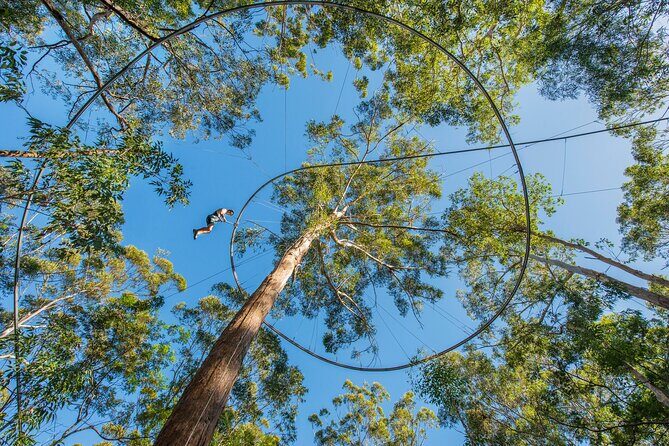 Western Sydney Zipcoaster Experience - Evaluating the Value