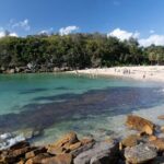 Wet & Dry Manly from Sydney - Practical Insights: Transportation, Timing, and Value