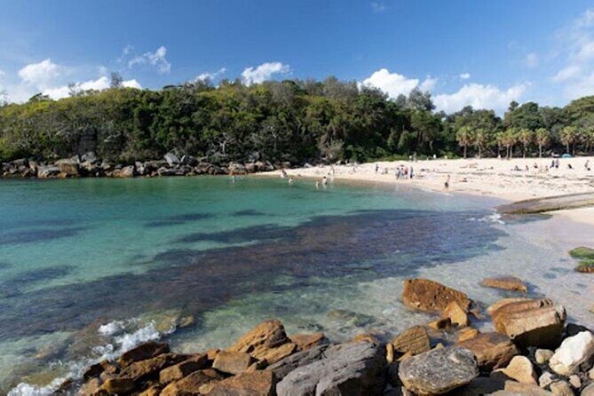 Wet & Dry Manly from Sydney - Practical Insights: Transportation, Timing, and Value