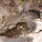 Whakarewarewa: Self-Guided Geothermal Trails - Practical Details and Tips