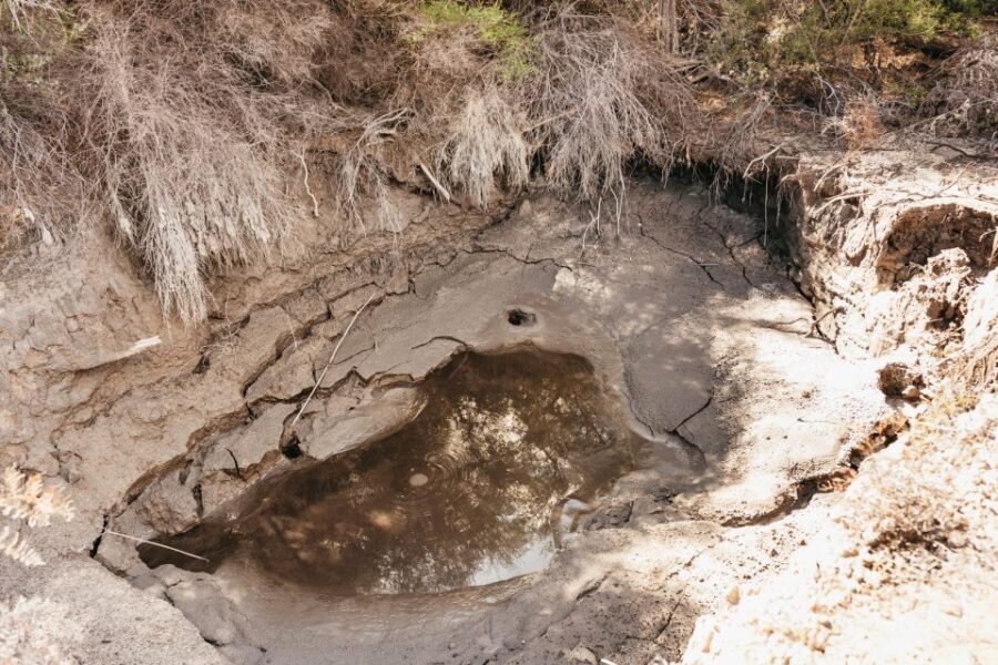 Whakarewarewa: Self-Guided Geothermal Trails - Practical Details and Tips