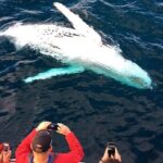 Whale & Dolphin Watching Cruise in Puerto Vallarta All Inclusive - Analyzing the Experience: Value, Duration, and Practicalities