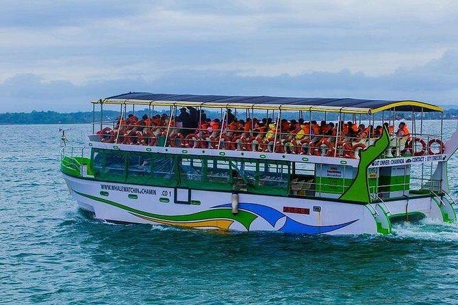 Whale & Dolphin Watching Day Tour including Handunugoda Teafactory - In-Depth Look at the Itinerary