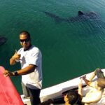 Whale Shark from Cancun, Riviera Maya and Tulum All Inclusive - The Highlights: Why It Stands Out