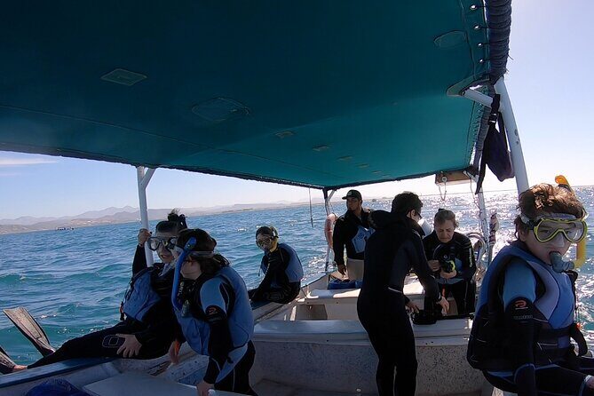 Whale Shark Swimming Adventure: Small Group with Marine Biologist - What Travelers Are Saying