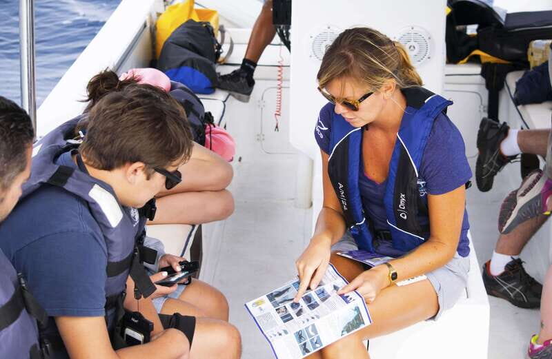 Whale Watch Cabo: Zodiac Whale Adventure - FREE Photos - The Wildlife: What You’re Likely to See