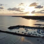 Whale watching - Authenticity and Education