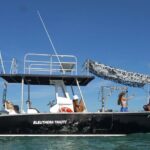 Whale Watching Activity - Why This Tour Offers Great Value