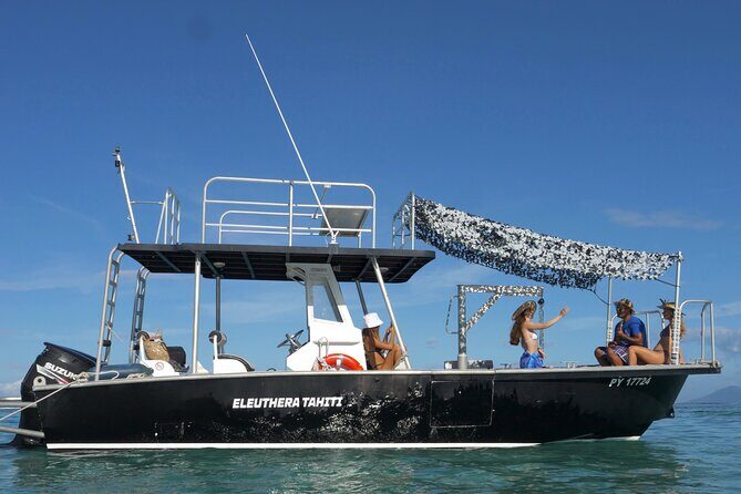 Whale Watching Activity - Why This Tour Offers Great Value