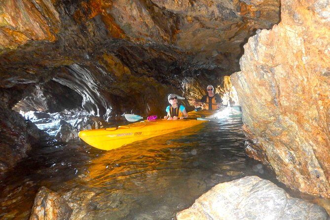 Whale Watching by Sea Kayak in Batemans Bay - Who Will Enjoy This Tour?