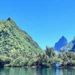 Whale watching DE Tahiti Peninsula - Summary: Is This Tour Right for You?