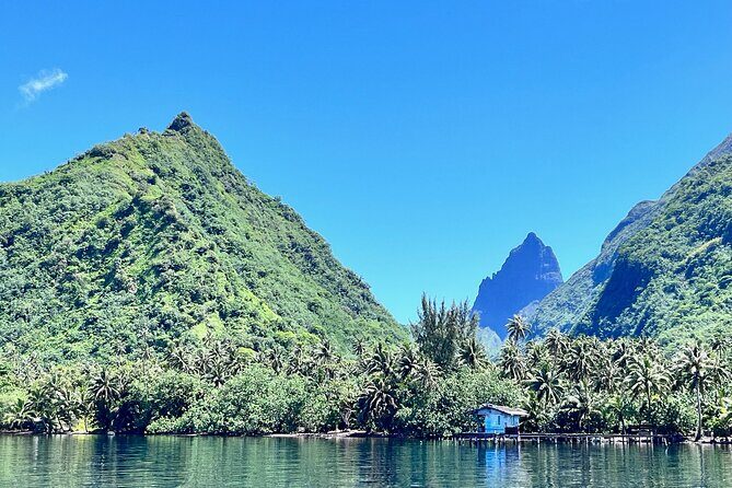 Whale watching DE Tahiti Peninsula - Summary: Is This Tour Right for You?