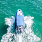 Whale Watching Discovery Tour from Lake Macquarie - Final Thoughts