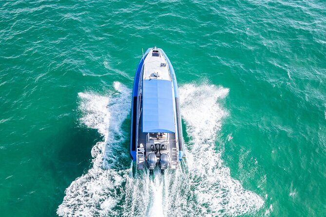 Whale Watching Discovery Tour from Lake Macquarie - Final Thoughts