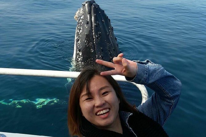 Whale Watching Dunsborough - Who This Tour Suits Best