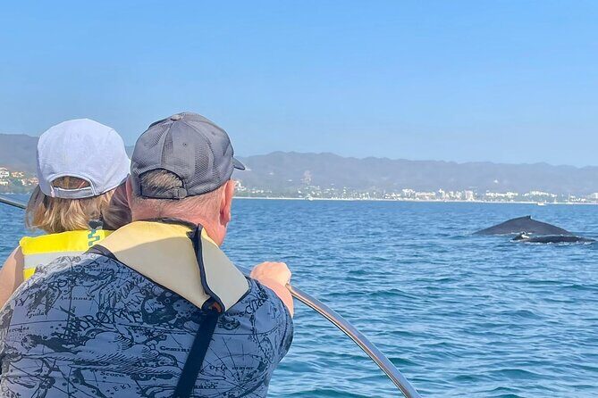 Whale Watching Experience in Puerto Vallarta - A Closer Look at the Details