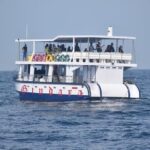 Whale Watching Galle with Pickup & Drop - Frequently Asked Questions