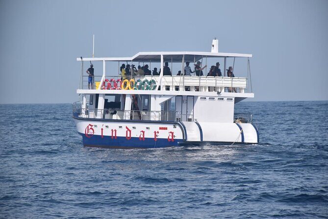 Whale Watching Galle with Pickup & Drop - Frequently Asked Questions