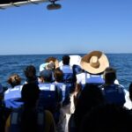 Whale Watching Guaranteed Experience in Puerto Vallarta - Authentic Marine Encounters: What Reviewers Say