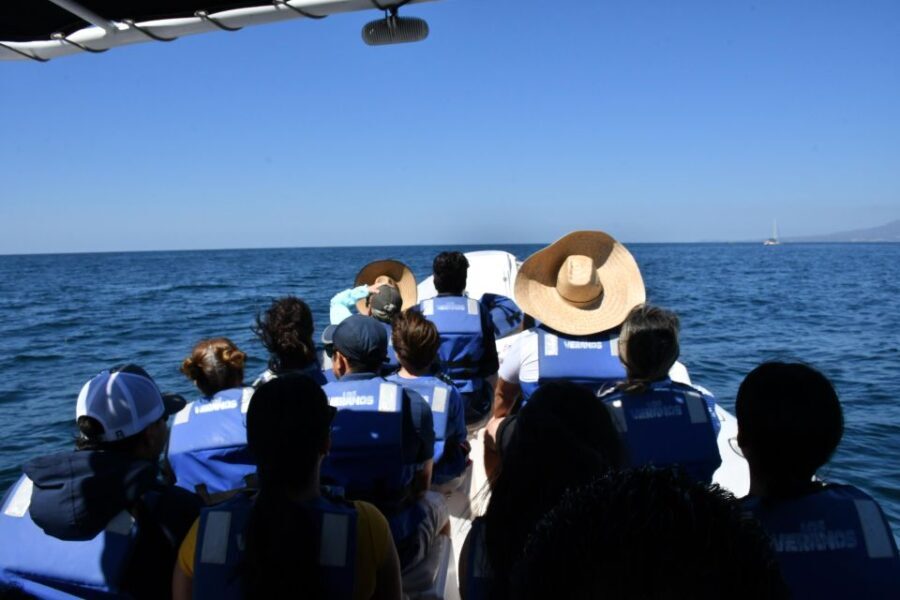 Whale Watching Guaranteed Experience in Puerto Vallarta - Authentic Marine Encounters: What Reviewers Say