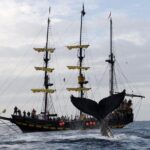 Whale-Watching Pirate Ship Cruise in Los Cabos - The Value for Money