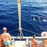 Whale Watching Sail in Honolulu with Open Bar - Final Thoughts: Who Will Love This Experience?