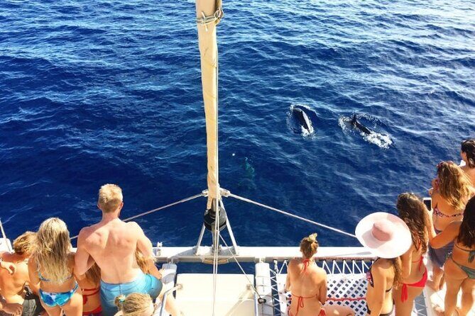 Whale Watching Sail in Honolulu with Open Bar - Final Thoughts: Who Will Love This Experience?