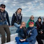 Whales of Sydney Sea Safari - Private - Evaluating the Cost and Value