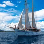 Whale's Tale Day Cruise from Port Denarau - Who Will Enjoy This Tour?