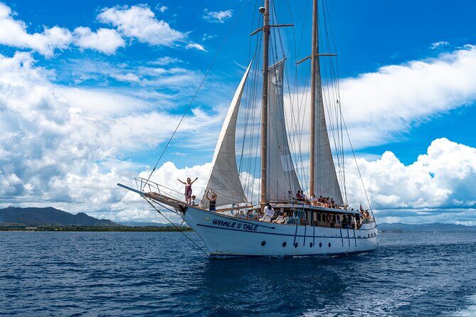 Whale's Tale Day Cruise from Port Denarau - Who Will Enjoy This Tour?
