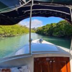 Whisper Cruises - One-Hour Turtle Spotting Bay Cruise - What You Can Expect on Board