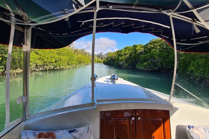 Whisper Cruises - One-Hour Turtle Spotting Bay Cruise - What You Can Expect on Board