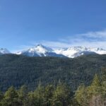 Whistler and Sea to Sky Gondola, a Fire and Ice Discovery Tour - The Practicalities: Comfort, Timing, and Value